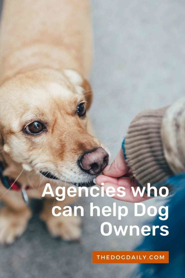 Organizations that Support Dog Owners – The Dog Daily